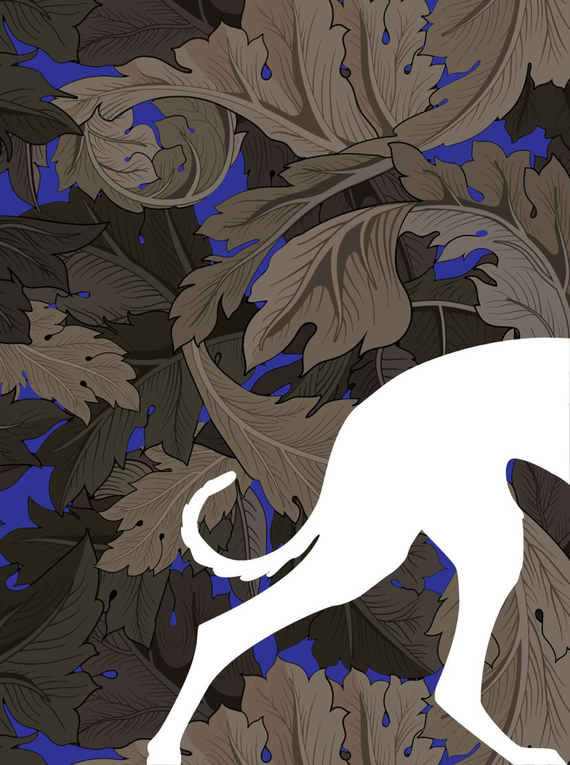 Mon regard est tien - Chelles